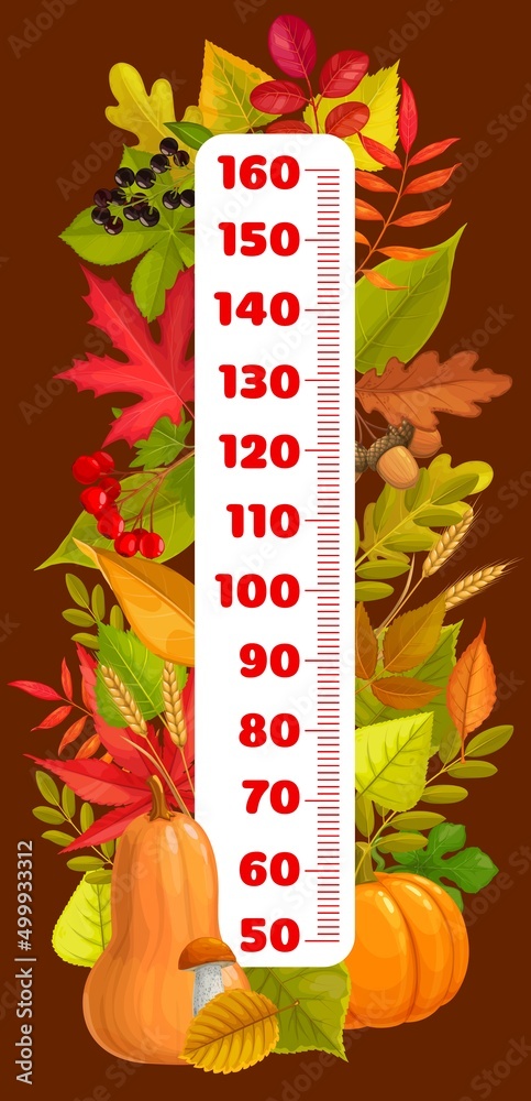 Autumn leaves, berries, mushrooms and pumpkins, kids height chart ruler ...