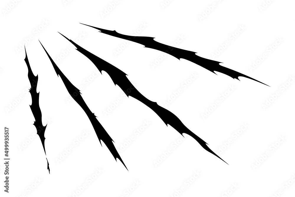 Claw scratches of wild animal. Cat scratches marks isolated in white ...