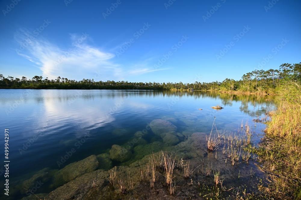Submerged boulders along shore of Pine Glades Lake in Everglades ...