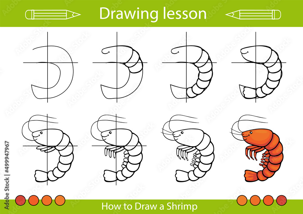 Drawing tutorial. Step by step how to draw a shrimp. Educations ...