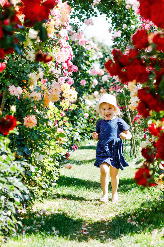 Cute Baby Photos With Roses
