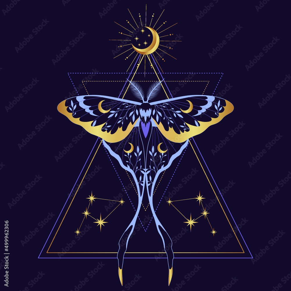 Purple vector illustration of moon moth. For print for T-shirts and ...