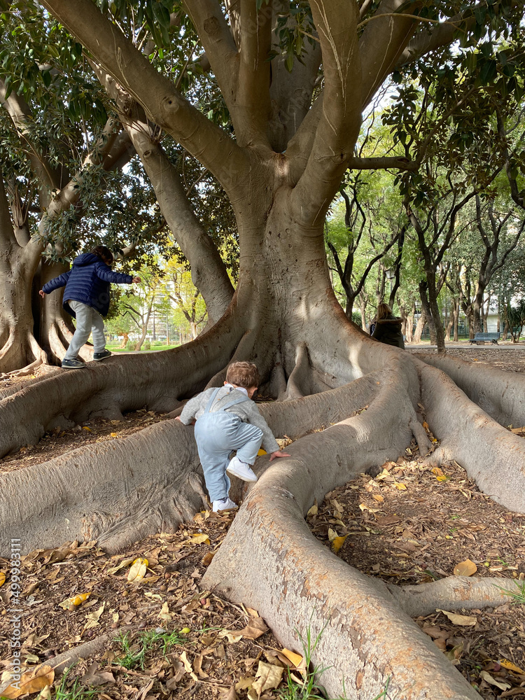 Two children playing in the branches of a tree, climbing and enjoying ...