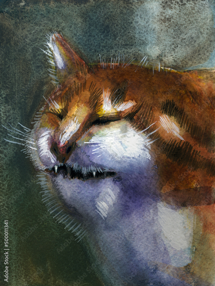 Drawing of a funny cat. Laughing, grinning. It looks like a piranha ...