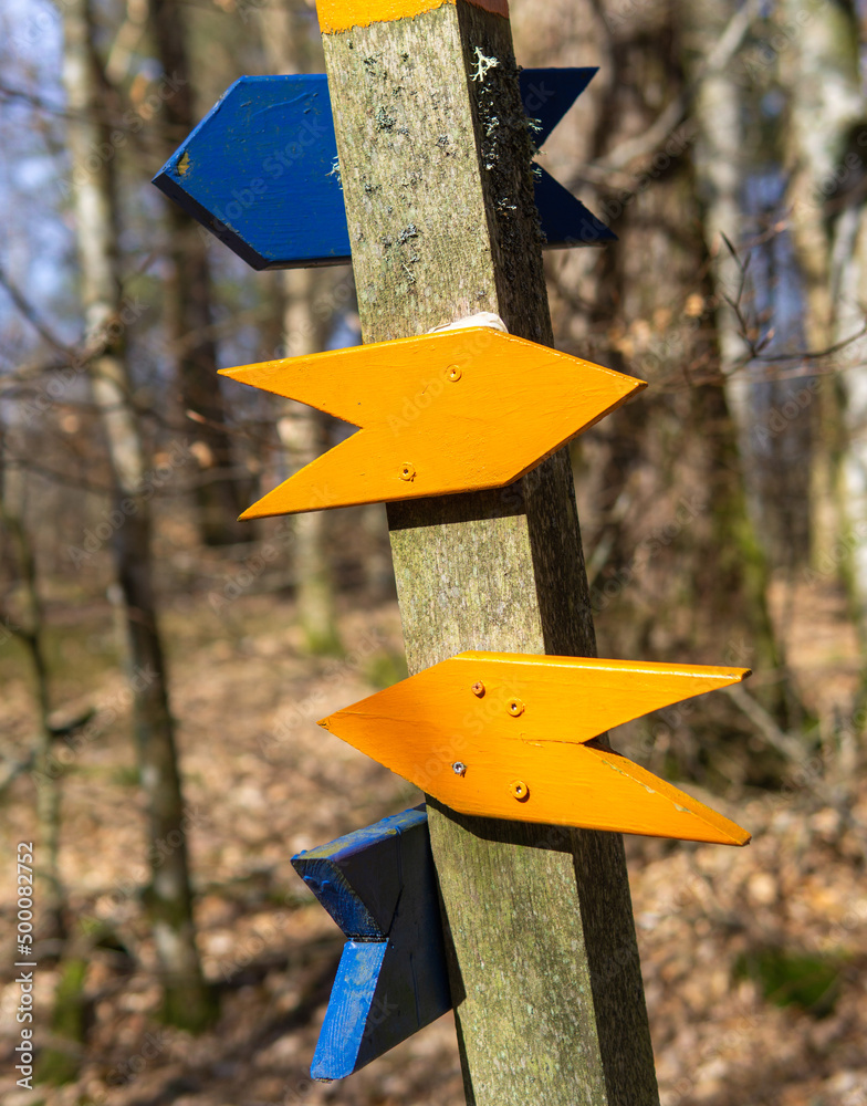 DIRECTION,DIRECTIONS,PANCARTE,FLECHES,FLECHE,ORIENTATION,SOUS-BOIS,BOIS ...