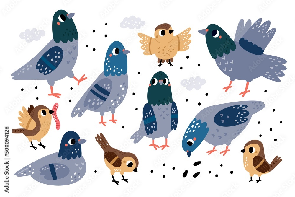 Cute city birds. Funny street sparrows and pigeons. Different poses and ...