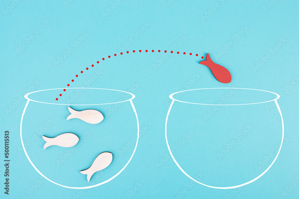 Red fish is the leader of the group, leadership and teamwork concept ...