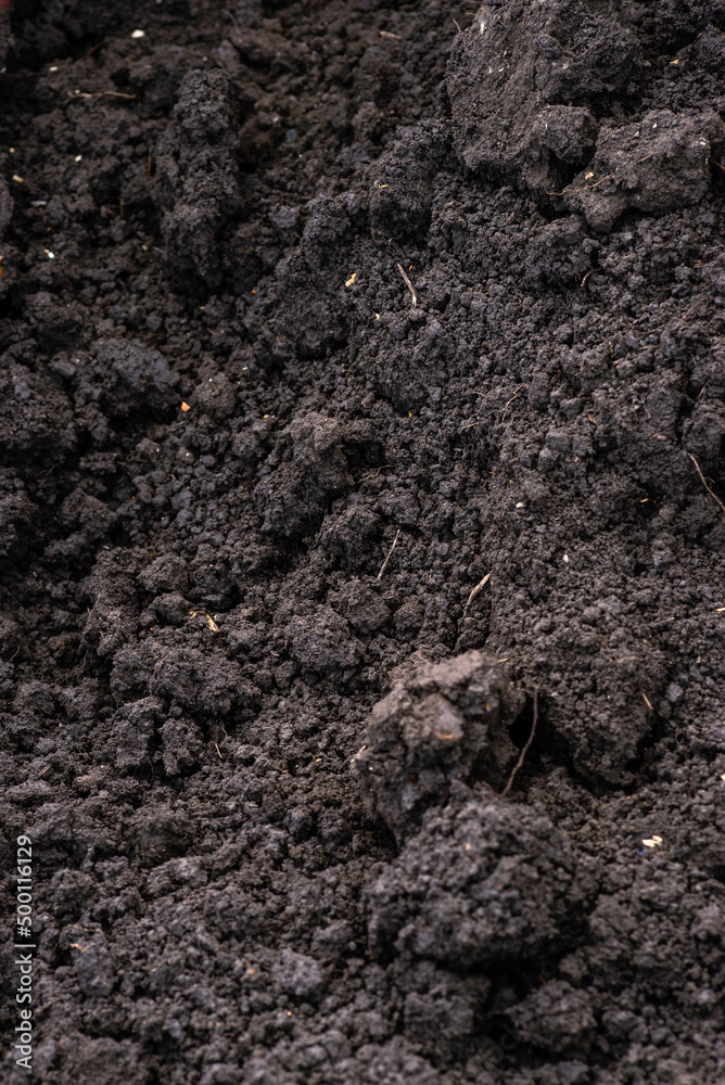 Clean soil for cultivation. Dry texture top view. Loose black soil in ...