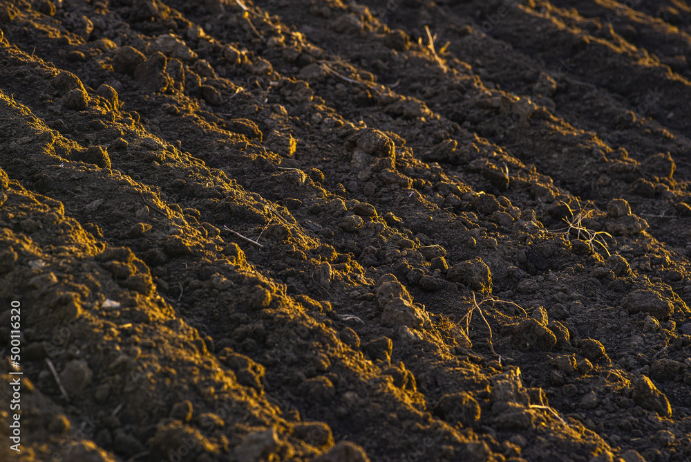 Clean soil for cultivation. Dry texture top view. Loose black soil in ...