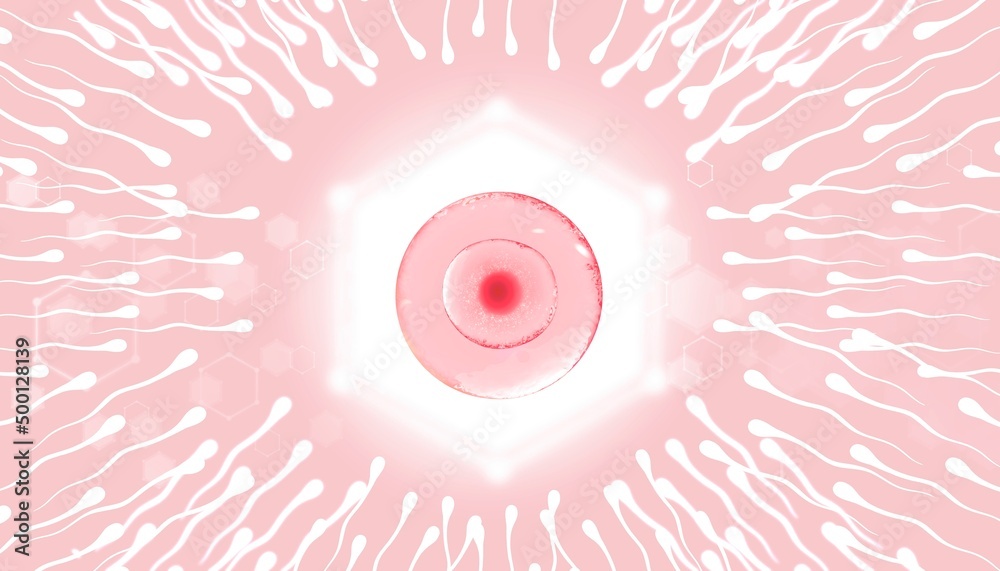 Sperm, movement to the egg in hexagon on a pink background. 3d ...