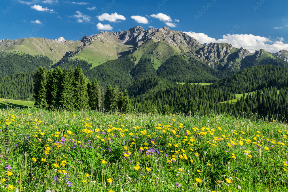 Summer Jiang braque scenic spot landscape in Qitai county Xinjiang ...