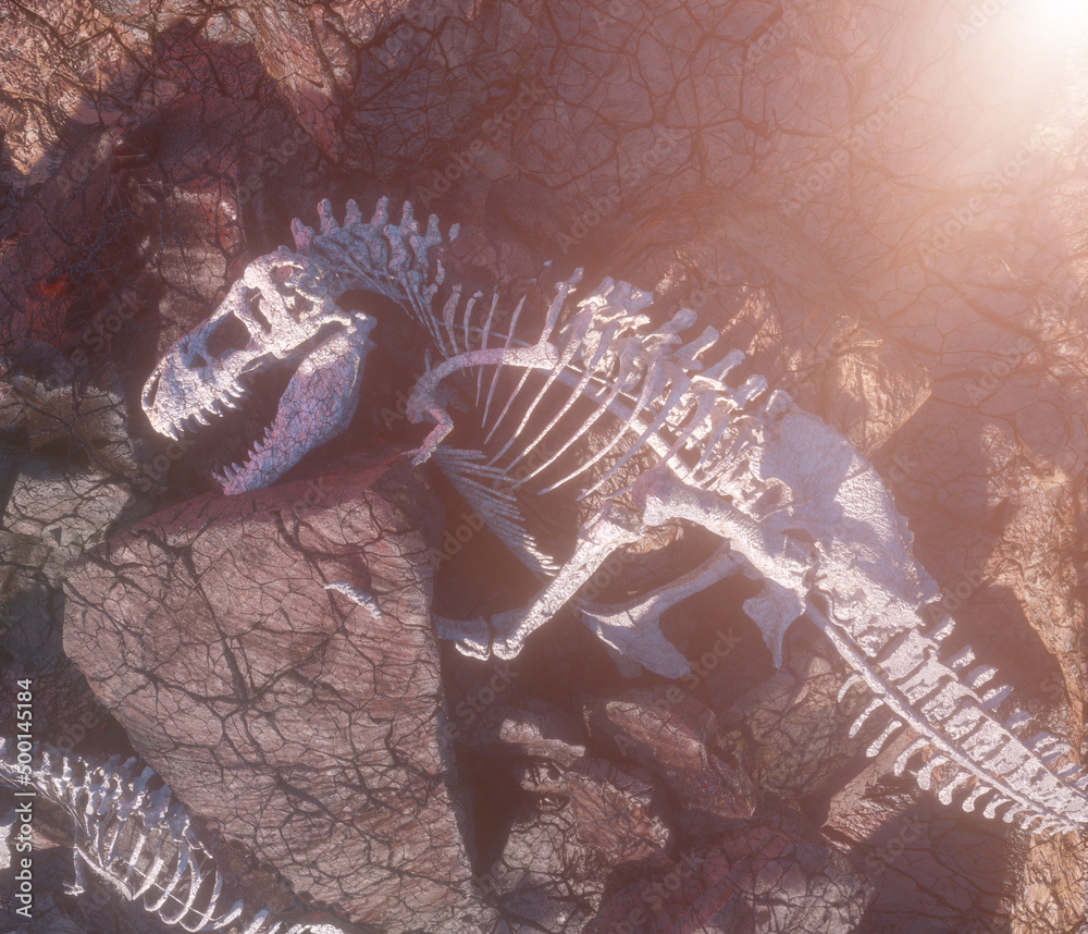 extinct dinosaur skeletons and skulls archaeological excavations, the ...