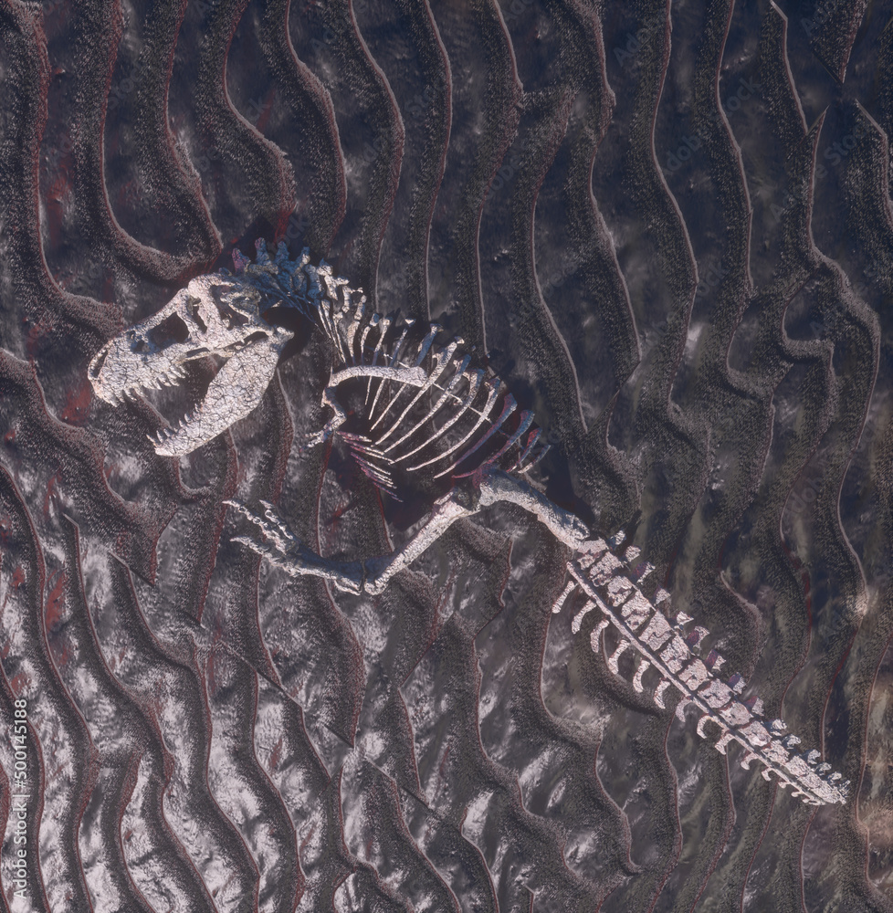 extinct dinosaur skeletons and skulls archaeological excavations, the ...