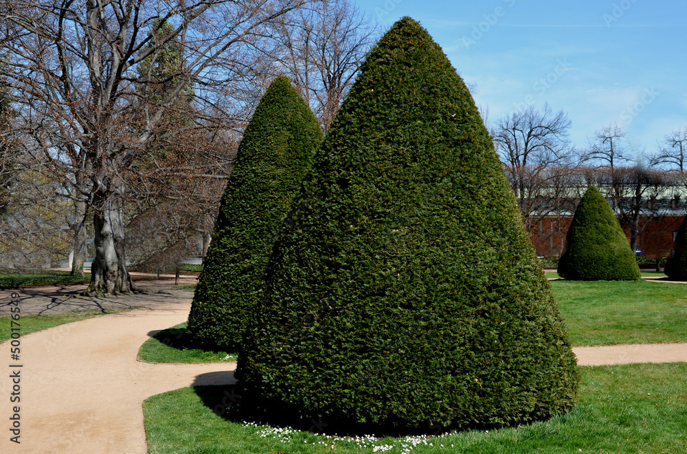 tree cut into the shape of a large regular cone and a flattened sphere ...