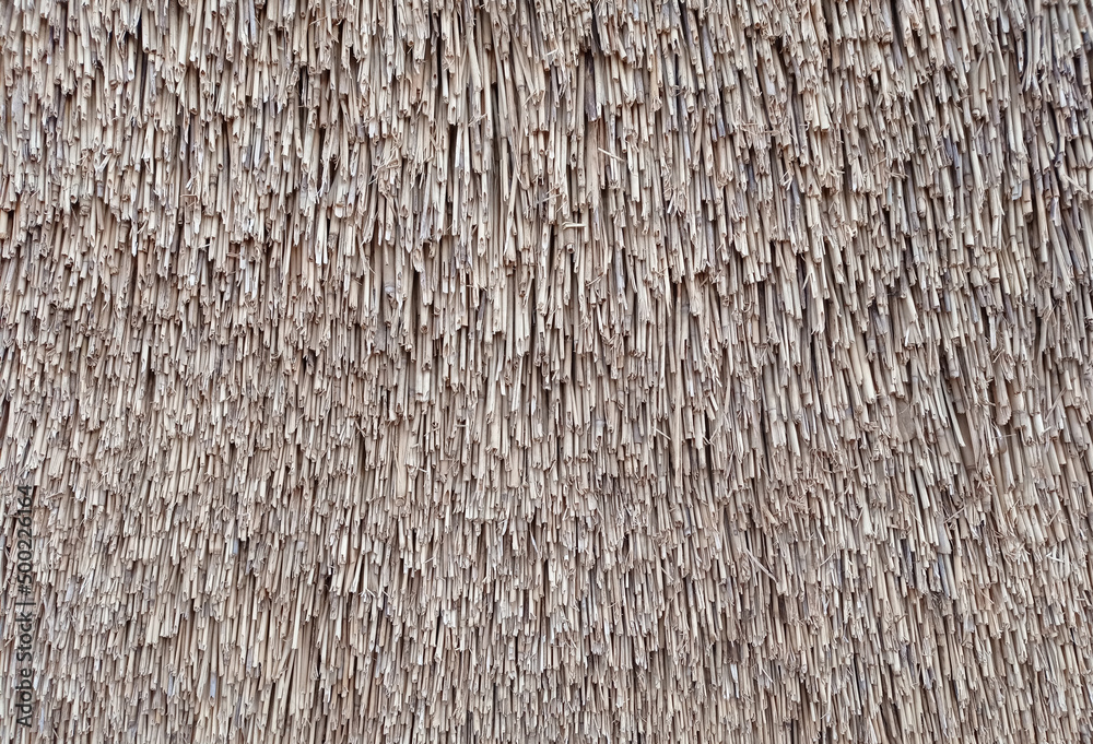 Straw pattern of roof or wall. Thatched roof texture background. Stock ...