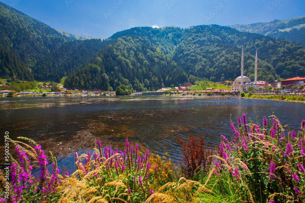Westh turkey uzungol karadeniz trabzon national park naitonal ...
