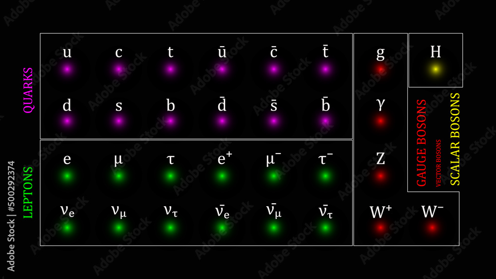Standard Model of Elementary Particles vector design Stock Vector ...