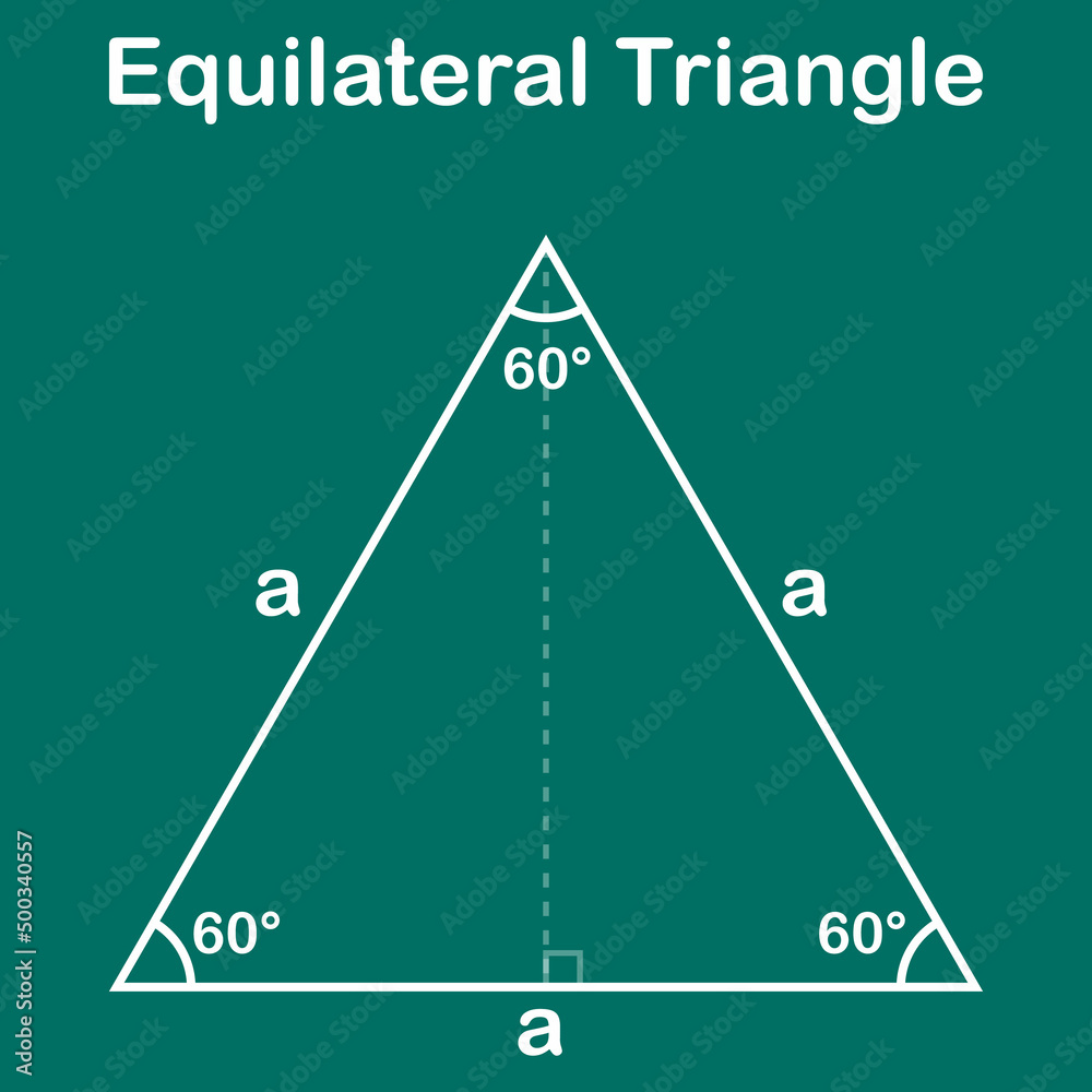 parts of an equilateral triangle Stock Vector | Adobe Stock