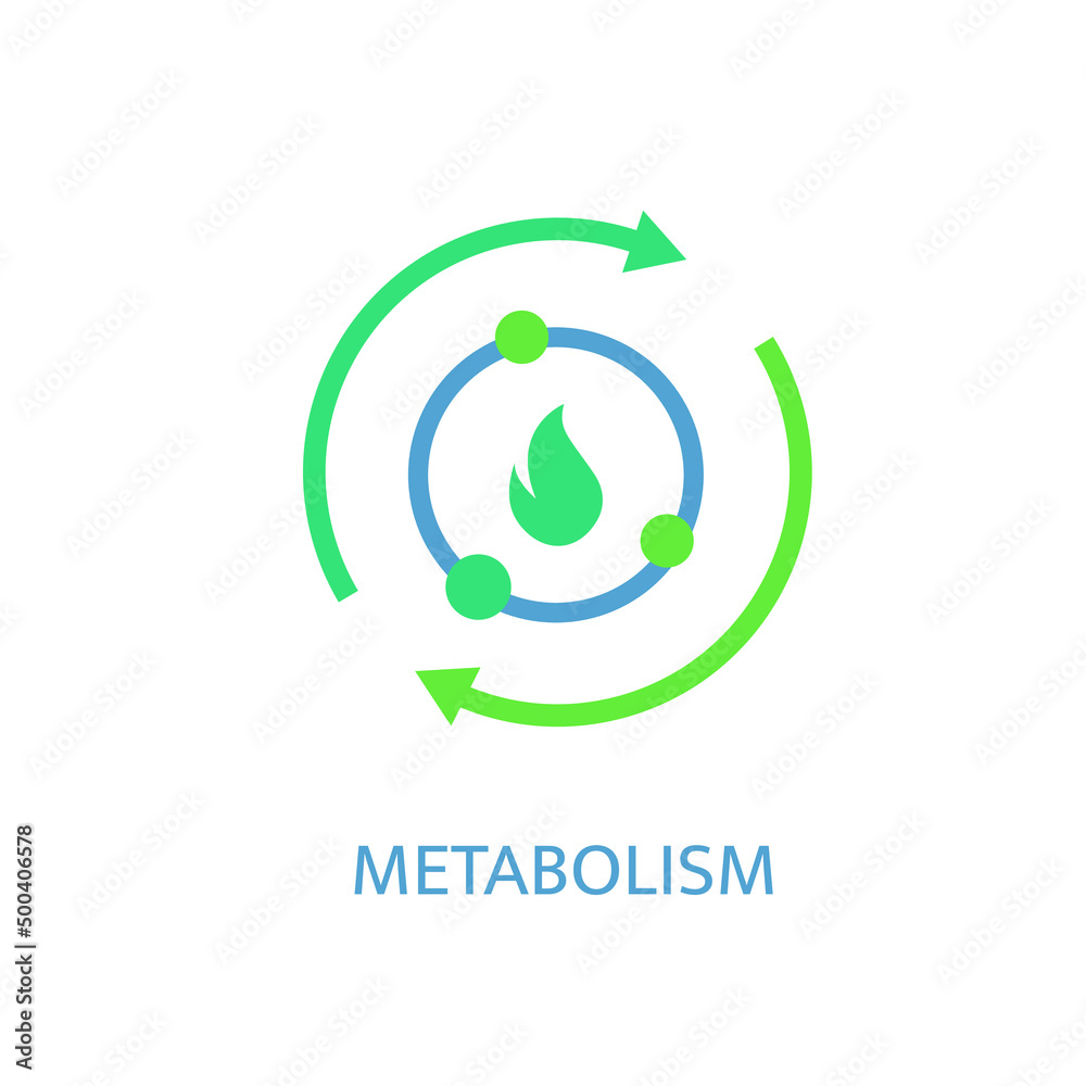 Metabolism icon. Linear medical pictogram. Chemical process sign ...