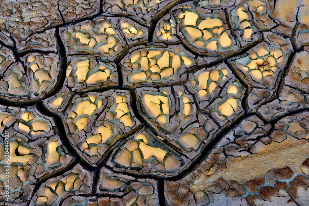 Dried earth texture with brown cracks Stock Photo | Adobe Stock