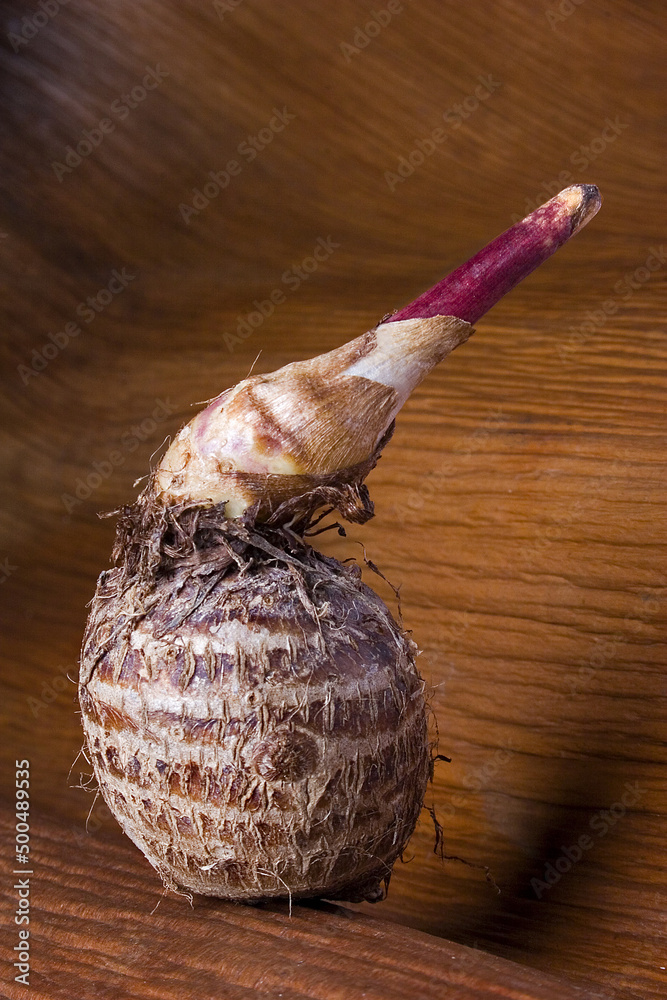 Germinating yam was photographed in a rustic setting on an imperial ...