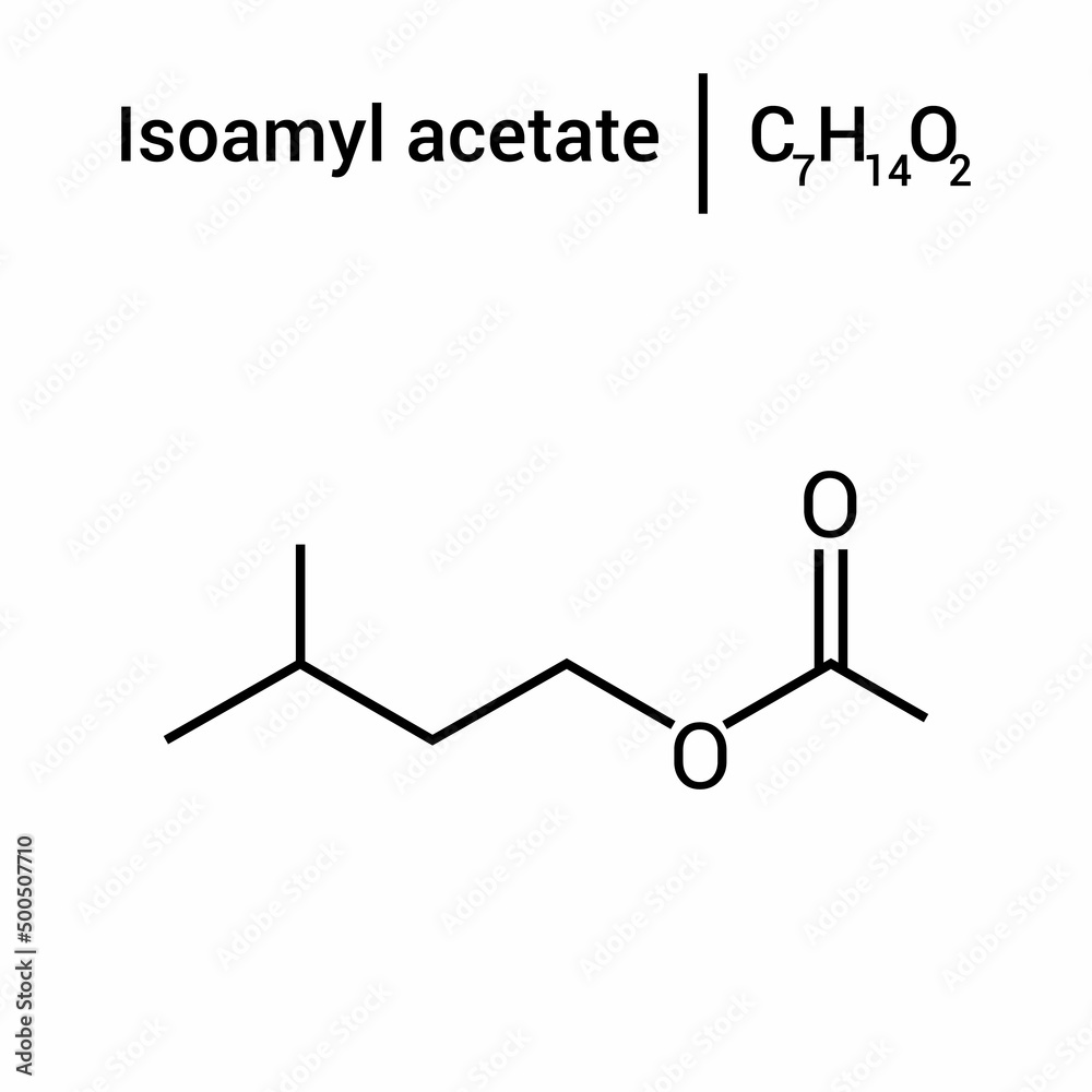 Structure Of Isopentyl Acetate