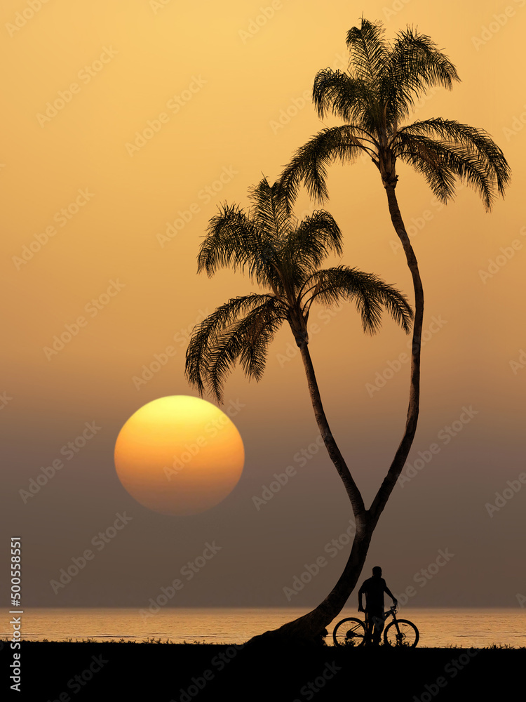 Tropical ocean sunset scene. Coconut tree growing near the ocean and a ...