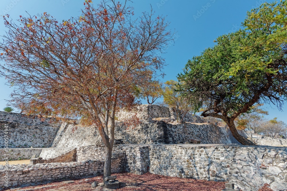 Ancient pyramids, structures of ruined pyramids and trees growing on ...
