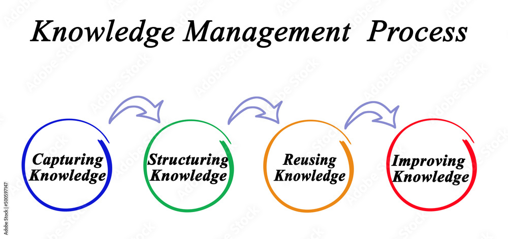 Components of Process of Knowledge Management Stock Illustration ...