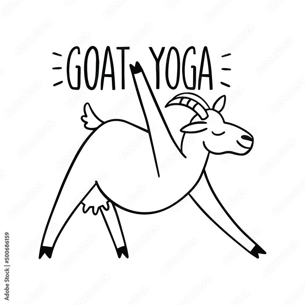 Goat yoga outline illustration. Modern fitness. Flat vector ...