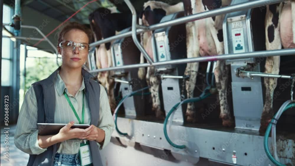 Serious woman dairy farm worker pose in parlour. Agriculture specialist ...