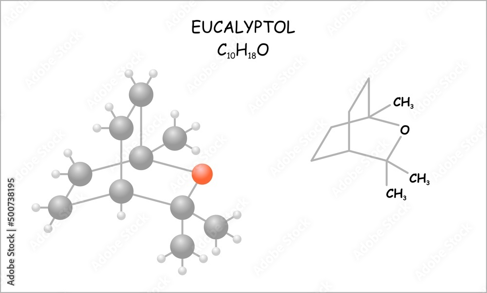 Stylized molecule model/structural formula of eucalyptol. Use as ...