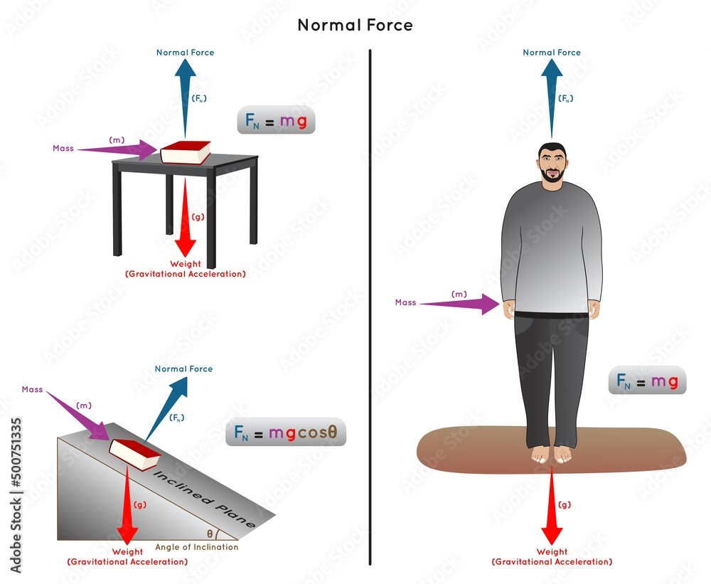 Normal Force Infographic Diagram with example of book on table and on ...