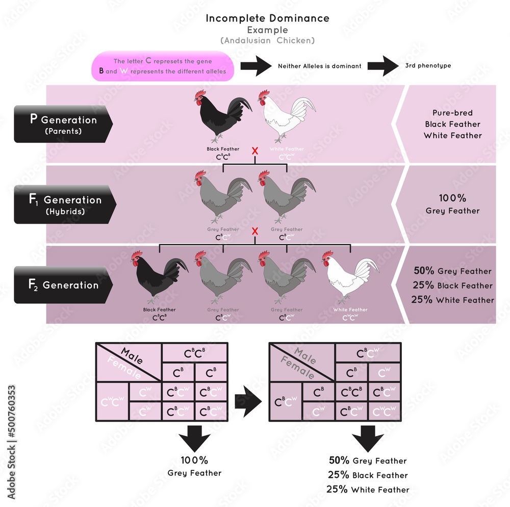 Hybrid Science Example