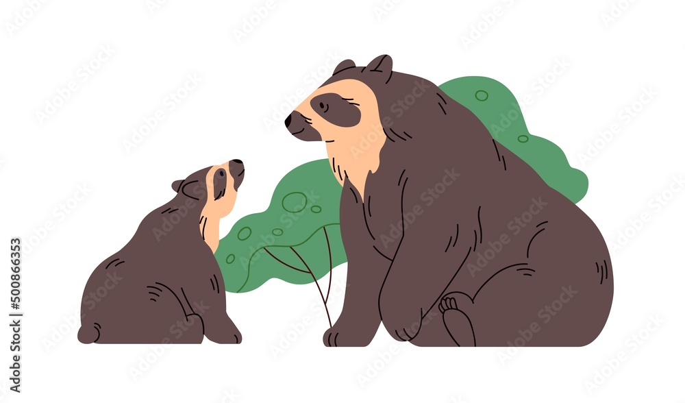 Spectacled Bear Drawing
