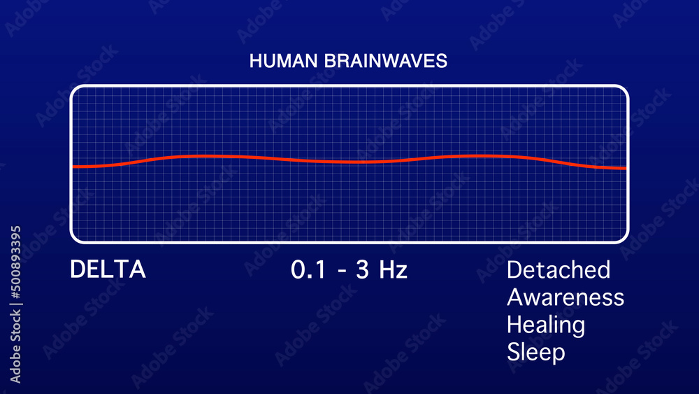 Delta Human Brain Waves Diagram Illustration Stock Illustration | Adobe ...