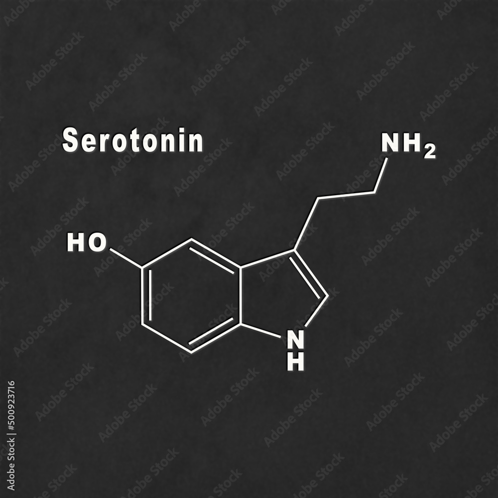 Serotonin Hormone Structural chemical formula Stock Photo | Adobe Stock