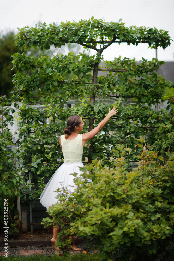 Cute girl woman in a dress looking an apple tree on a trellis ...