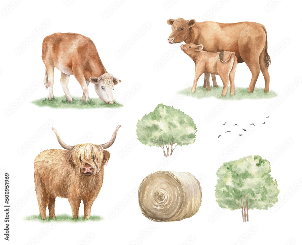 Watercolor farm animals clipart set. Cows illustration isolated on ...