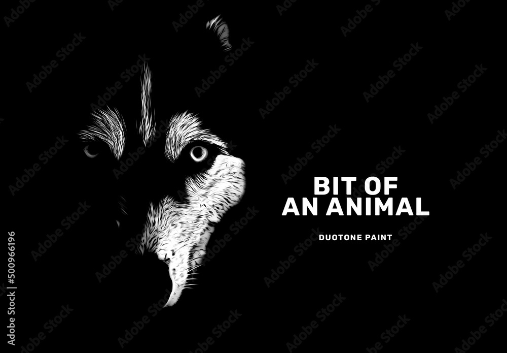 Double Color Paint Effect Stock Template | Adobe Stock