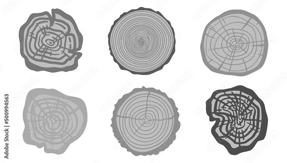 Hand drawn tree rings. Set of cross section of the tree. Trunk in ...