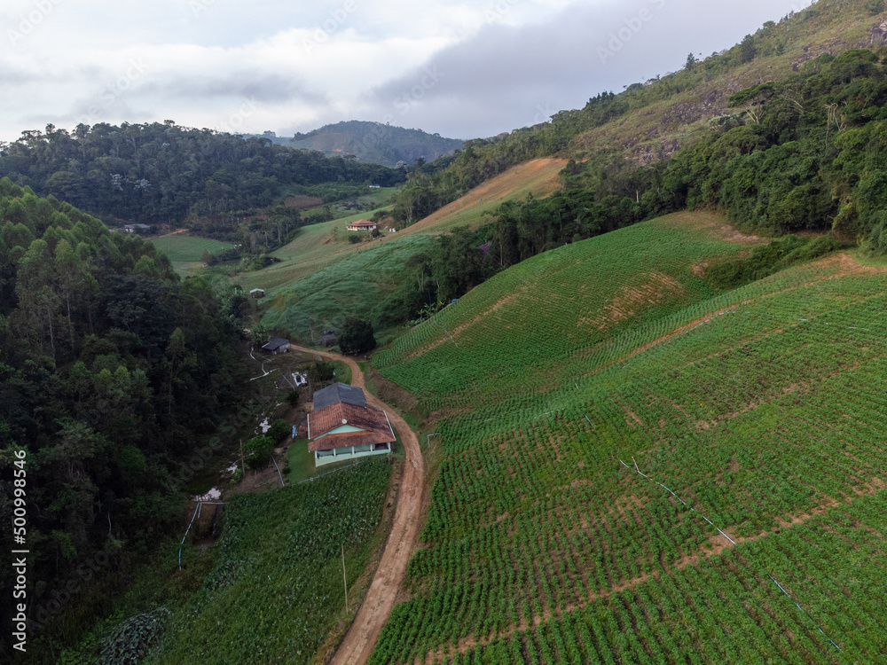 Small country town with food production on plantations, small houses ...
