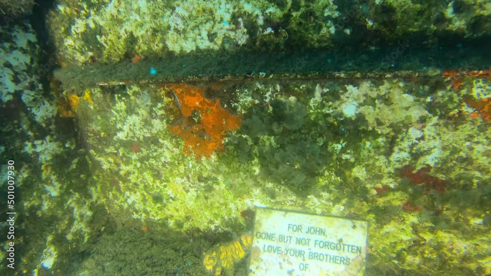 Scuba divers swims on the Shipwreck Swedish ferry MS Zenobia. Wreck ...