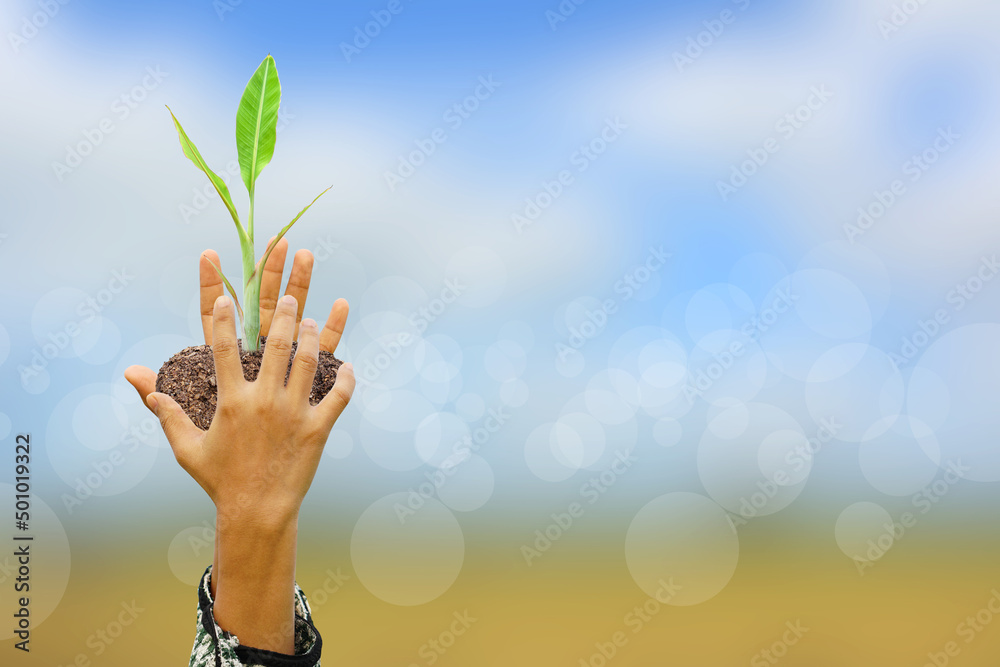 Human hand holding growing heart shape of tree on blurred nature ...