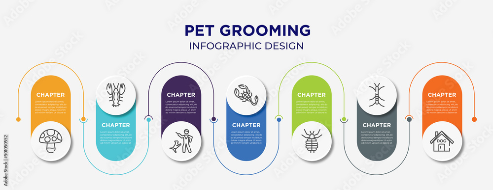 pet grooming concept infographic design template. included mushroom ...
