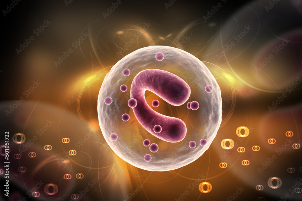 3d,mast cell,artwork,biology,biotechnology,cell,genetic,graphic,human ...