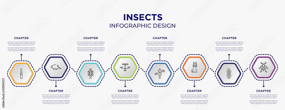insects concept infographic template with 8 step or option. included ...