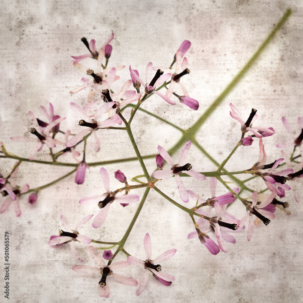square stylish old textured paper background with pale lilac flowers of ...