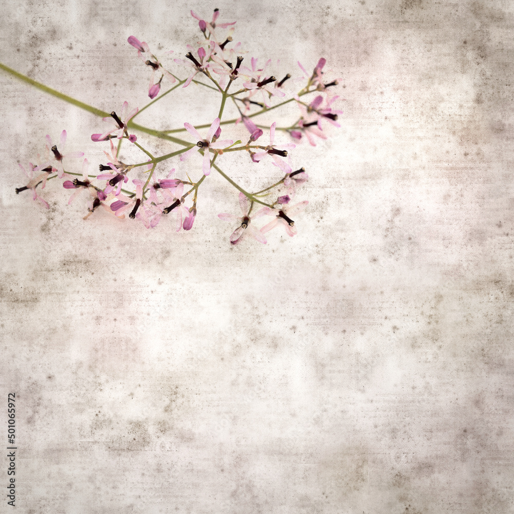 square stylish old textured paper background with pale lilac flowers of ...
