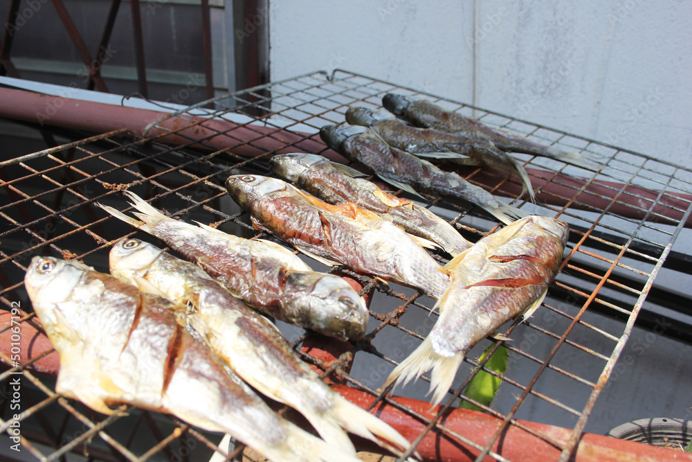Fish that are being dried in the sun to make traditional salted fish ...